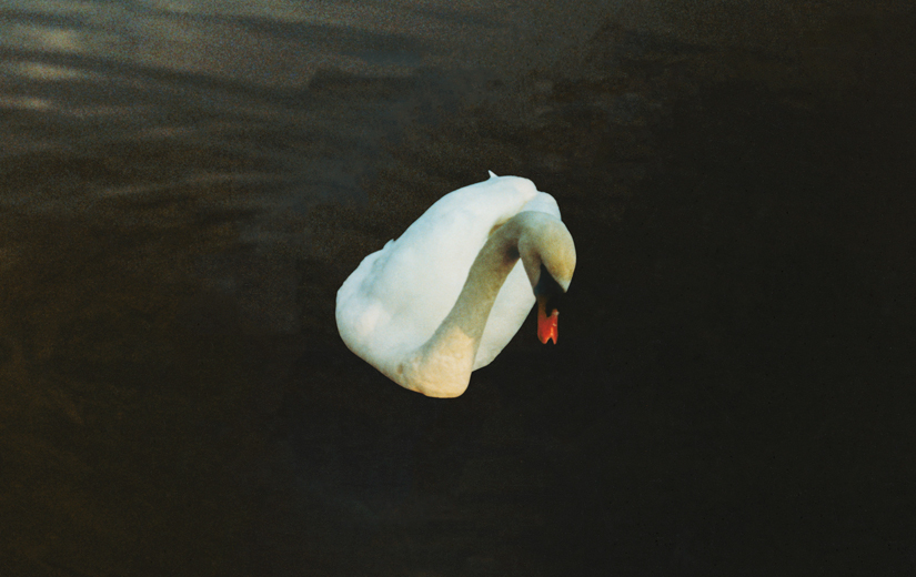 Ludovico Einaudi: Underwater – Pianodao